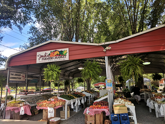 Josh's Farmers Market isn't just produce &ndash; it's a hanging-fern-festooned theater where tomatoes actually taste like tomatoes should.