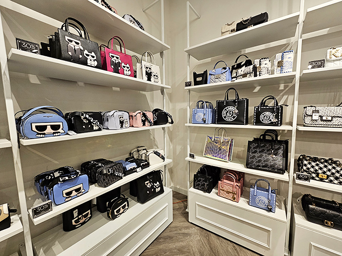 Designer handbags lined up like contestants in a beauty pageant. The Karl Lagerfeld collection whispers, "You deserve me," in multiple colors.