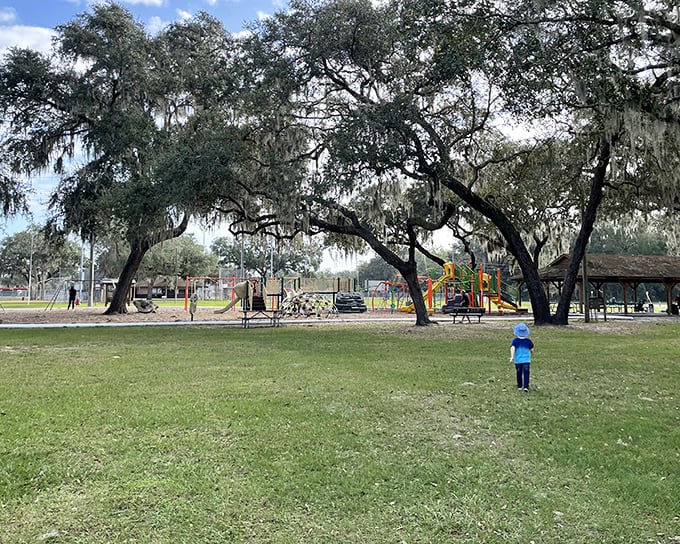 Majestic oak trees stand guard over Kenny Dixon Sports Complex, where little leaguers create memories under Spanish moss that's witnessed generations of home runs.
