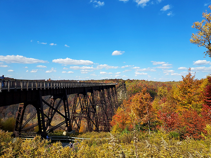 Fall's fiery palette transforms Kinzua into nature's art gallery. This isn't just autumn—it's autumn showing off for the camera.