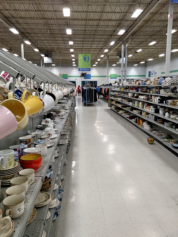 Kitchenware alley &ndash; where yesterday's forgotten mugs become tomorrow's "my favorite cup" in an instant.