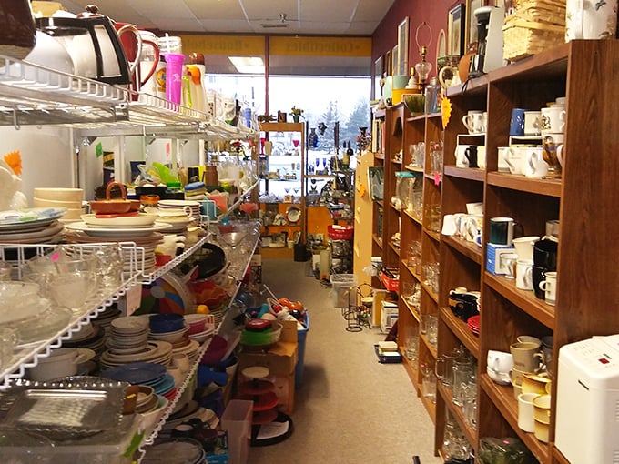 Kitchen alley: where forgotten Pyrex bowls and mismatched mugs find new purpose. Every shelf tells stories of dinners past.