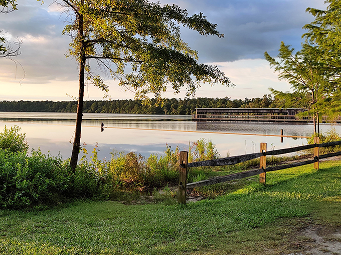 That wooden fence isn't just for show&mdash;it's holding back pure serenity. Golden hour at Jones Lake turns even the simplest landscape into a masterpiece worthy of your living room wall. 