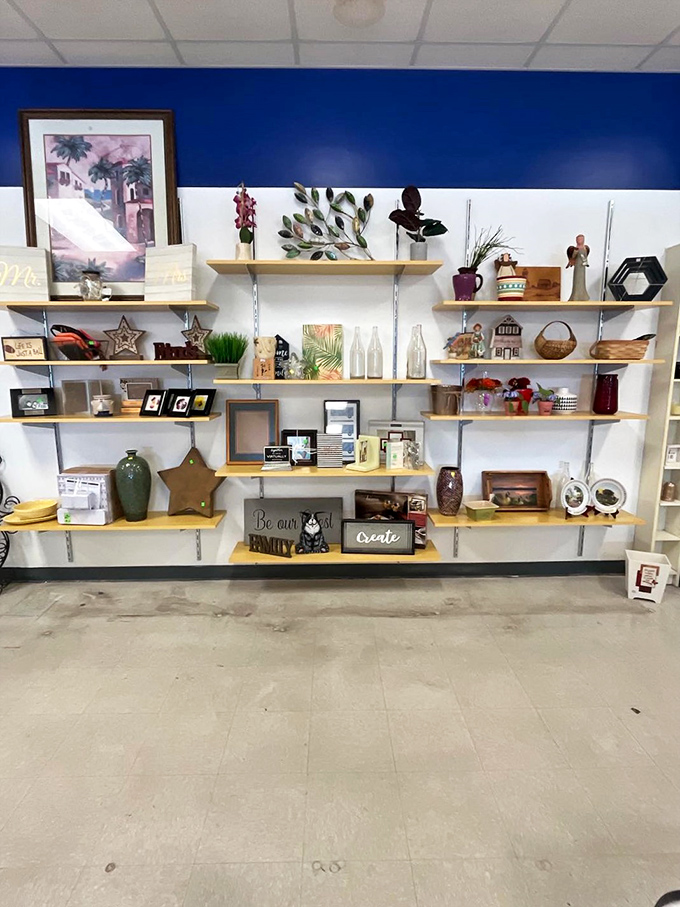 Not your average home d&eacute;cor section! These shelves tell stories of past lives and future possibilities, each item waiting for its second act in someone's carefully curated space.