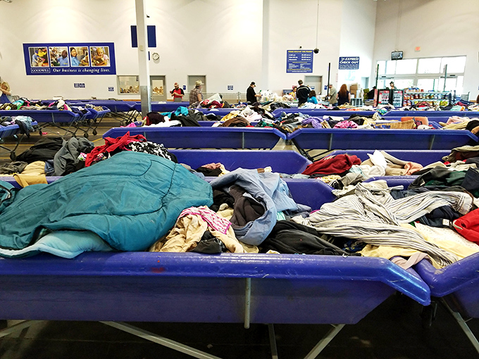 Behold the magical blue bins! Like archaeological digs without the sunburn, each container holds potential discoveries waiting for the right explorer.