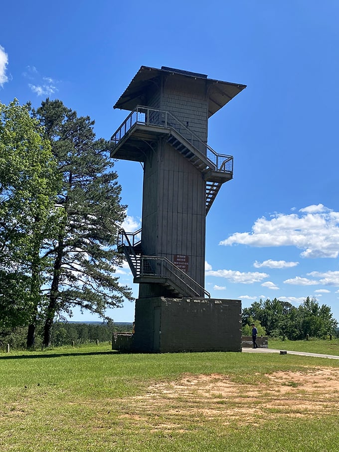 The observation tower stands tall, offering views that would make even Bob Ross jealous.
