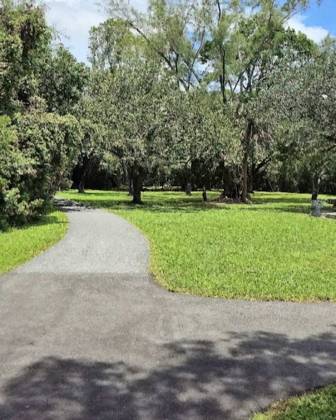 Winding paths invite exploration through Greynolds Park's verdant landscape. This isn't just a walk in the park&mdash;it's a journey through Florida's lesser-known green side.