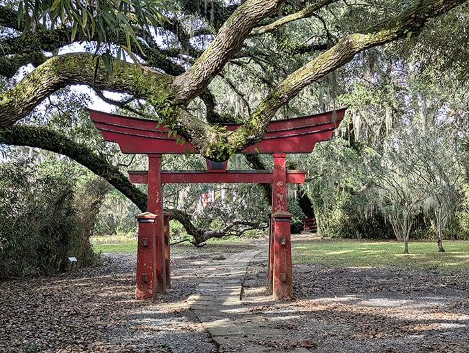This crimson torii gate doesn't just frame a path; it invites you into another dimension where Louisiana and Japan share a secret handshake.