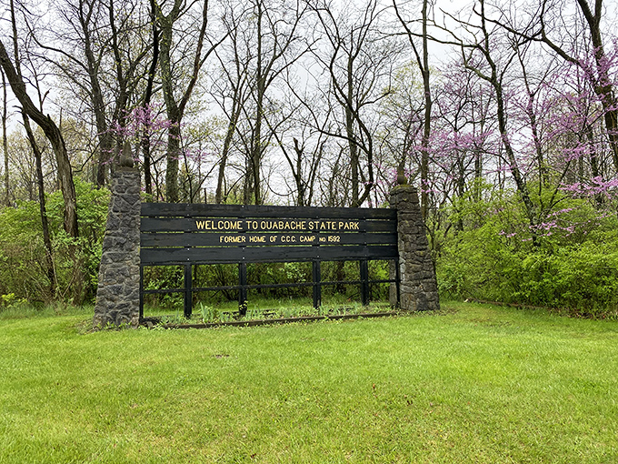 Nature doesn't charge admission at Ouabache State Park, where redbud trees put on a spring show that rivals any Broadway production.