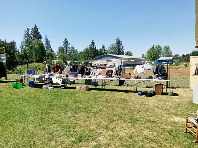 Tables laden with potential treasures stretch across the grass, where one person's castoffs become another's prized possessions. 