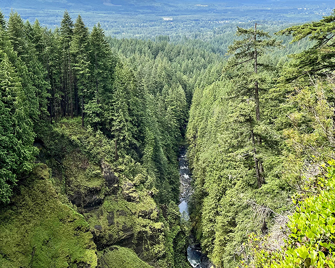 The reward for your uphill efforts: a valley vista that stretches for miles, making you feel like you've discovered your own private Cascades kingdom.