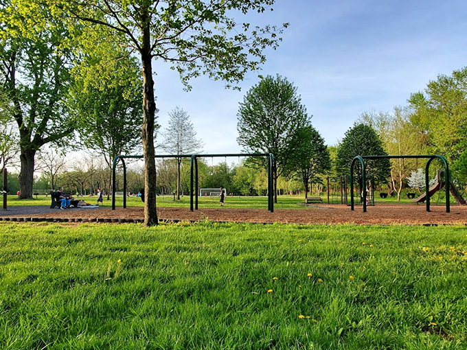 Playground paradise where kids burn energy while parents secretly wish they could join in. Those swings are calling everyone's name.