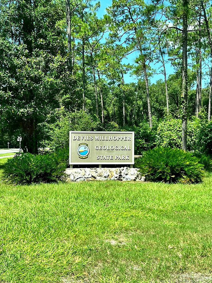 Standing tall among the pines, this unassuming sign marks the entrance to one of Florida's most jaw-dropping natural wonders.