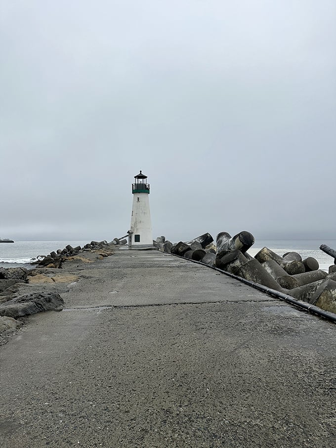 The classic California coastal tableau: turquoise waters, perfect skies, and a lighthouse that knows how to work the camera.