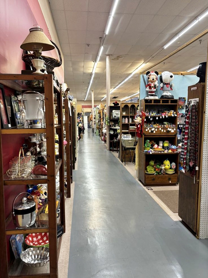 Endless aisles of possibility stretch before you. The fluorescent lighting illuminates decades of American life, neatly arranged and waiting for discovery.