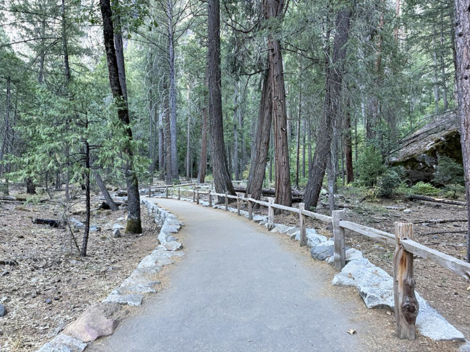 The path less hurried: This gentle trail through towering pines invites you to slow down and savor the journey to Yosemite's iconic waterfall.