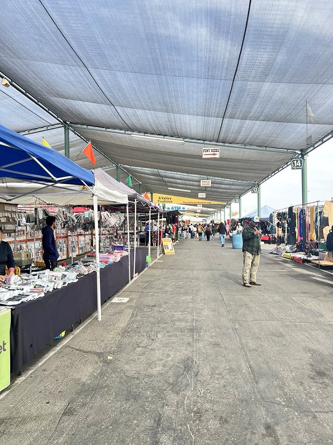 Treasure hunting begins here. Long, covered walkways protect shoppers from Fresno's famous sunshine while they search for unexpected delights.