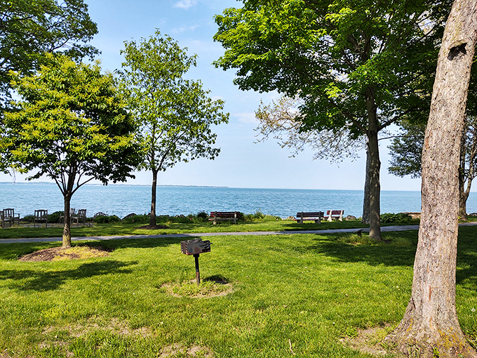 Lake Erie stretches to the horizon like nature's infinity pool, with benches perfectly positioned for sunset contemplation.