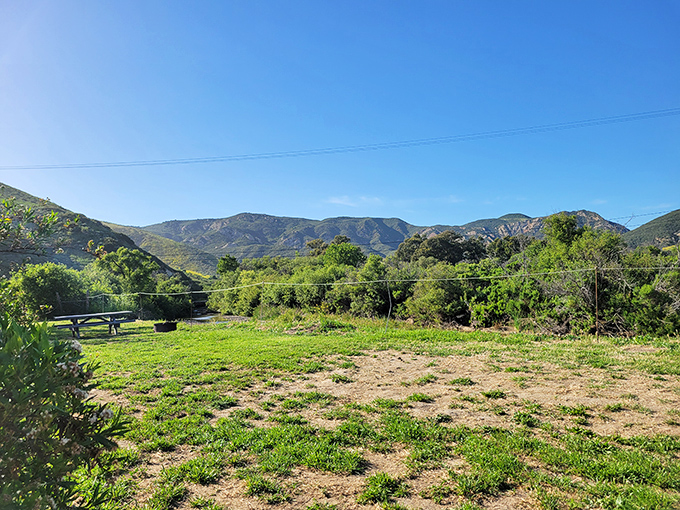 Mountain-backed campsites where your biggest decision is which picnic table gets the best sunset view for evening sandwiches.