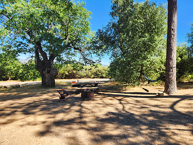 This isn't just a picnic spot&mdash;it's nature's dining room, where oak trees provide shade and squirrels might judge your sandwich choices.