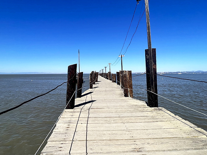 This wooden pier stretches into San Pablo Bay like a runway to infinity, inviting contemplation and the occasional perfect Instagram moment.