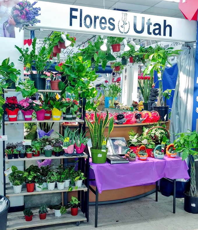 Nature's bounty at Flores Utah, where plant parenthood is affordable for all. Even notorious plant-killers might find redemption among these forgiving green friends.