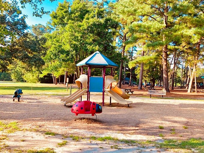 Childhood joy awaits at Trap Pond's playground, complete with a ladybug spring rider that's probably more exciting to parents reliving their youth.