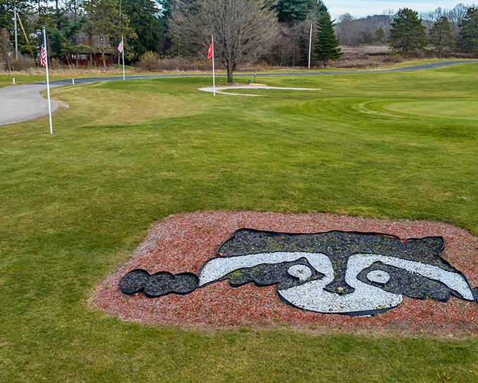 At Raccoon Valley Golf Course, even the mascot gets prime real estate. That raccoon's probably a better golfer than most weekend warriors.