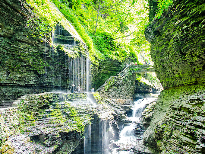 Rainbow Falls lives up to its name, with sunlight dancing through mist to create ephemeral prisms. Nature's light show requires no tickets or reservations.