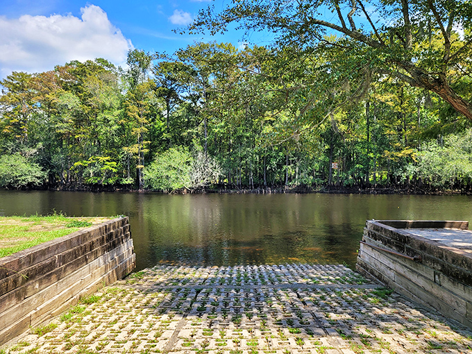 Nature's welcome mat &ndash; this boat ramp isn't just functional, it's an invitation to adventure on North Carolina's most serene blackwater highway.