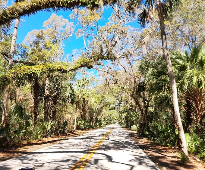 Palm sentinels stand guard along the waterway, as if Mother Nature herself designed Florida's perfect postcard moment.