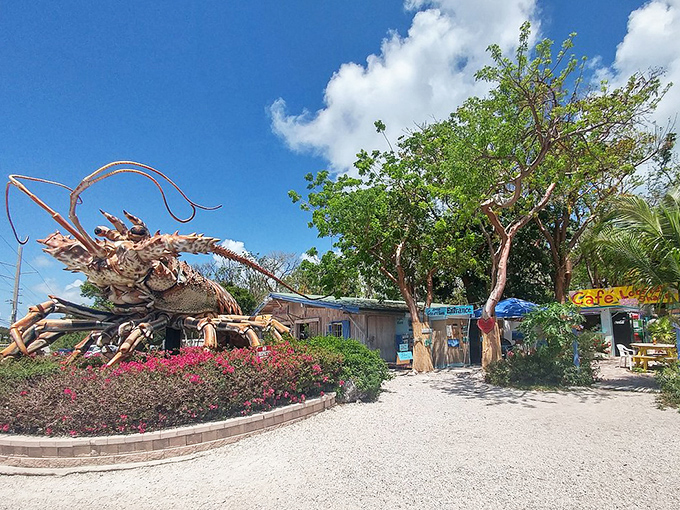 Behold the guardian of quirky art: a massive lobster sculpture that's part roadside attraction, part conversation starter, and entirely impossible to drive past without stopping.