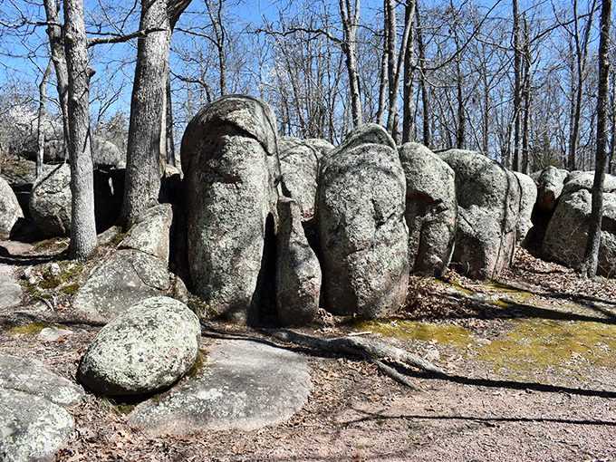 These aren't just rocks; they're 1.5-billion-year-old gentle giants standing in a perpetual parade through the Missouri woods.