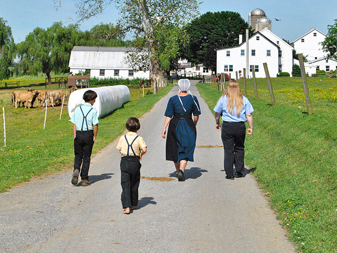 The original family road trip doesn't require Wi-Fi or "are we there yet?" questions. Walking together down this farm lane, the Amish demonstrate connection that doesn't need charging.