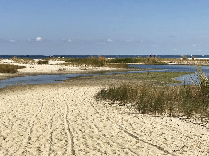 Nature's own beach therapy session&mdash;no reservations required. The sandy shores of Flag Ponds invite bare feet and unhurried afternoons.