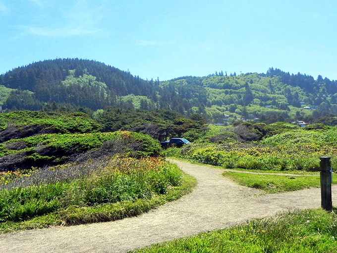 This isn't just a trail—it's nature's front-row seat to the Pacific's greatest show, complete with wildflower confetti and ocean soundtrack.