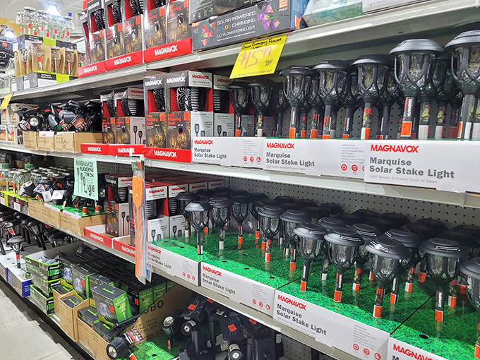 Magnavox solar lights lined up like soldiers ready for garden duty. At these prices, your walkway can look like a celebrity's driveway without the celebrity budget.