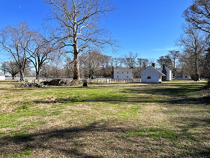 Somerset Place's historic buildings stand as silent storytellers of a complex past. The plantation's preserved structures offer visitors a sobering glimpse into antebellum North Carolina.