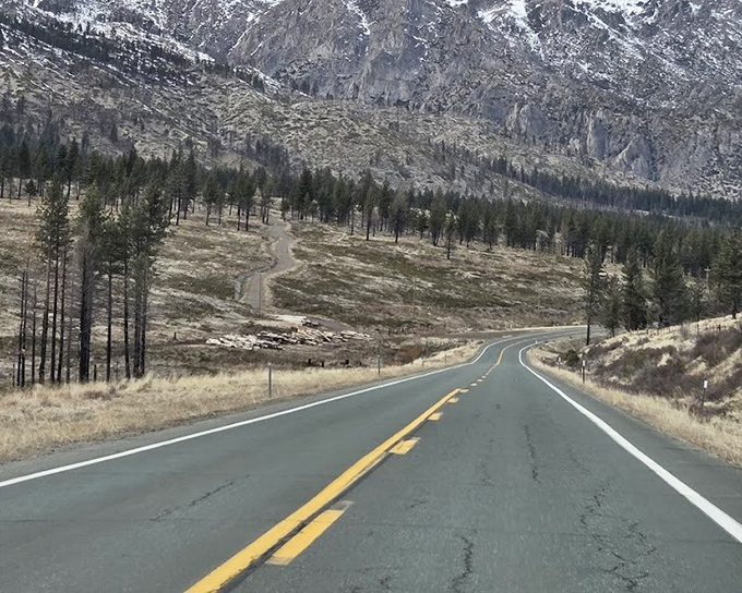 The road less traveled? Not exactly, but Highway 88 curves through the Sierra like it's auditioning for a car commercial. Just add convertible and wind-tousled hair.