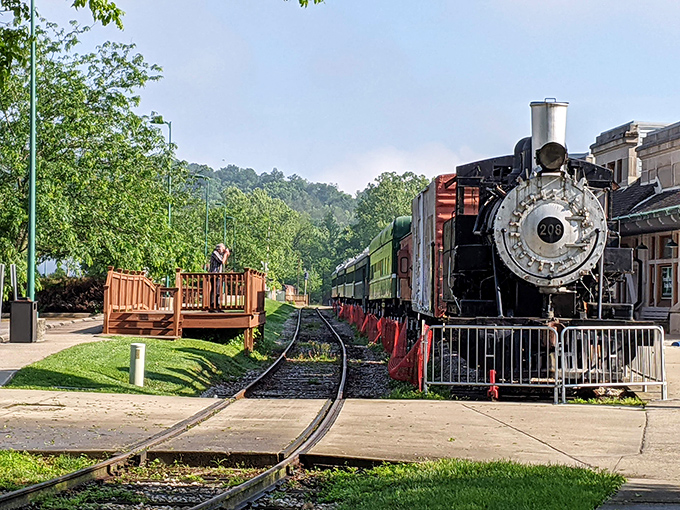 Engine #208 stands proudly at the station, its black and red details telling stories of journeys past and adventures to come.