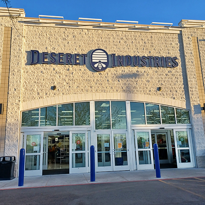 Bright desert sunshine welcomes thrift adventurers through these doors, where one person's castoffs become another's "where have you been all my life?" discoveries.