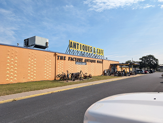 Under blue Virginia skies, America's largest antique mall stretches before you, a siren call to collectors and the chronically curious alike.