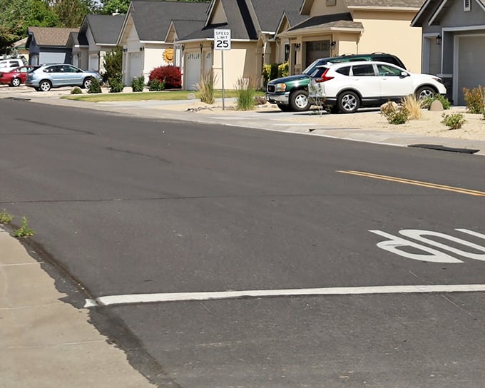 Desert-smart landscaping meets suburban comfort. These homes showcase Fernley's practical approach to desert living with minimal maintenance yards.