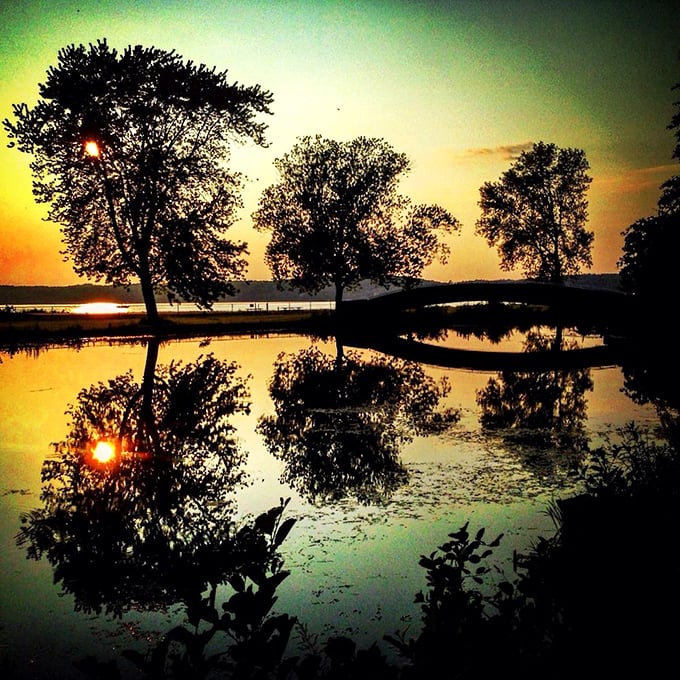 Mother Nature's light show doesn't require tickets. This sunset reflection creates a mirror-world that makes you wonder which side is more beautiful.