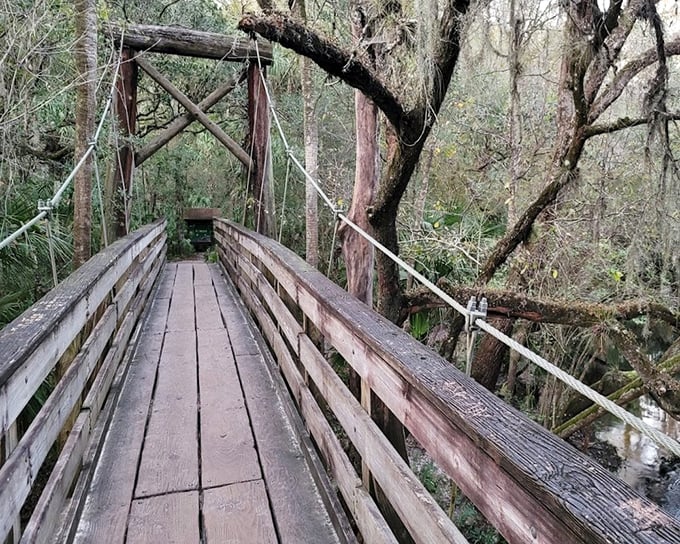 This suspension bridge isn't just a way across the river &ndash; it's a portal to Florida before theme parks ruled the landscape.