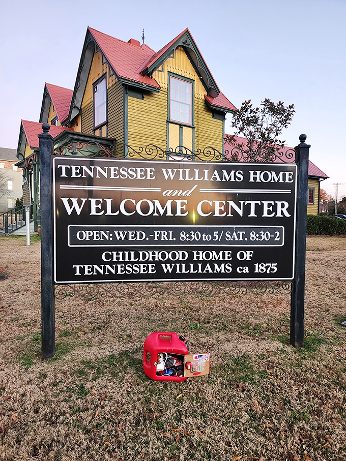 The sunny yellow Victorian that nurtured Tennessee Williams stands proudly, a reminder that great art can bloom anywhere &ndash; even in small-town Mississippi.