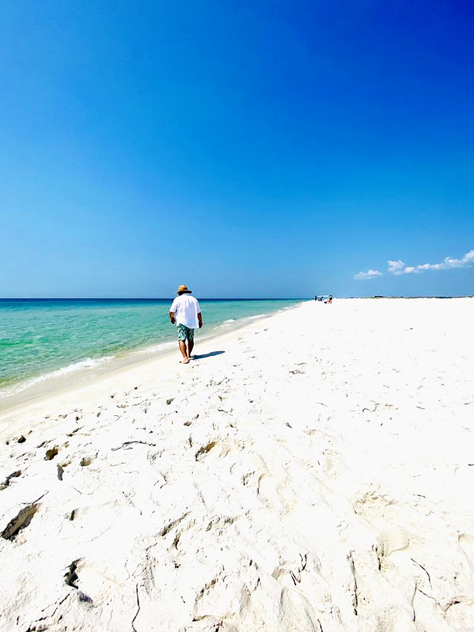 Social distancing before it was mandatory. At Opal Beach, having this much pristine shoreline to yourself isn't luck&mdash;it's Tuesday.