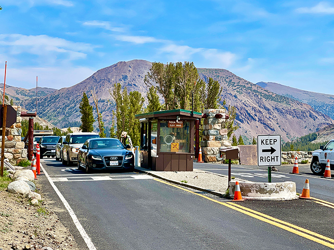 Welcome to California's highest security checkpoint, where rangers guard paradise and your National Park Pass is the golden ticket to alpine bliss.