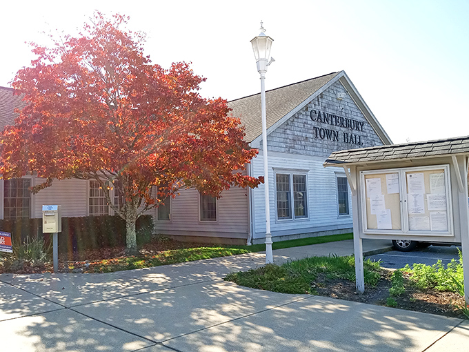 Canterbury Town Hall welcomes visitors with classic New England charm and a maple tree that puts on a fall fashion show worthy of Milan.