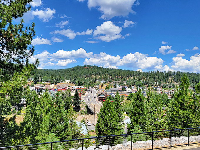 A bird's-eye view that explains everything &ndash; Truckee nestled among pines like nature's perfect snow globe waiting to be shaken.